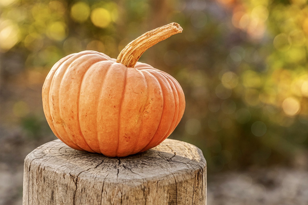 My Foodie Days | La zucca: caratteristiche, tipologie e utilizzi in cucina