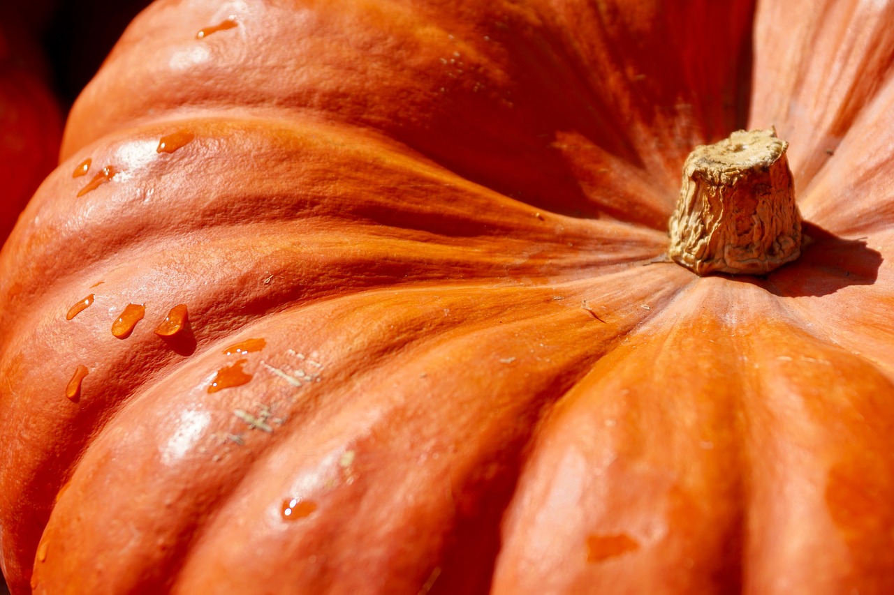 My Foodie Days | La zucca: caratteristiche, tipologie e utilizzi in cucina